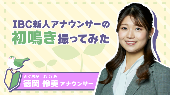 IBC岩手放送｜アナ部屋